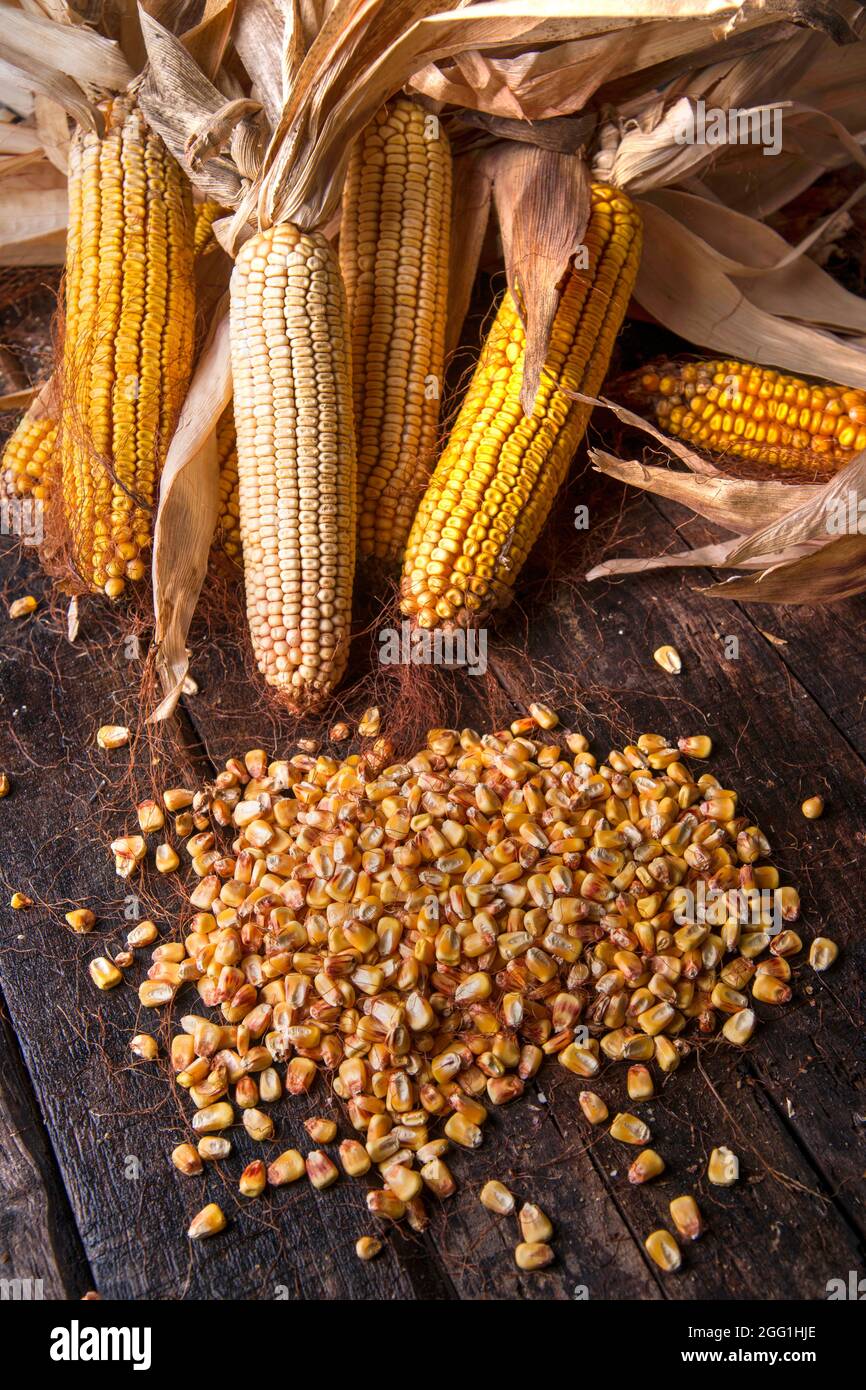 Maize grinding hi-res stock photography and images - Alamy