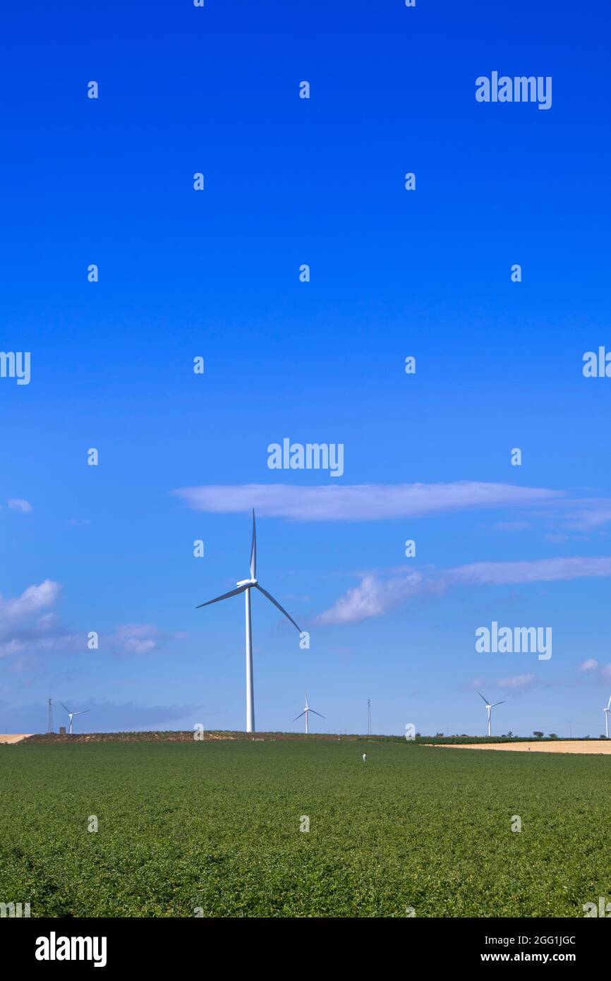 Mills for the production of electric energy by exploiting the strength ...