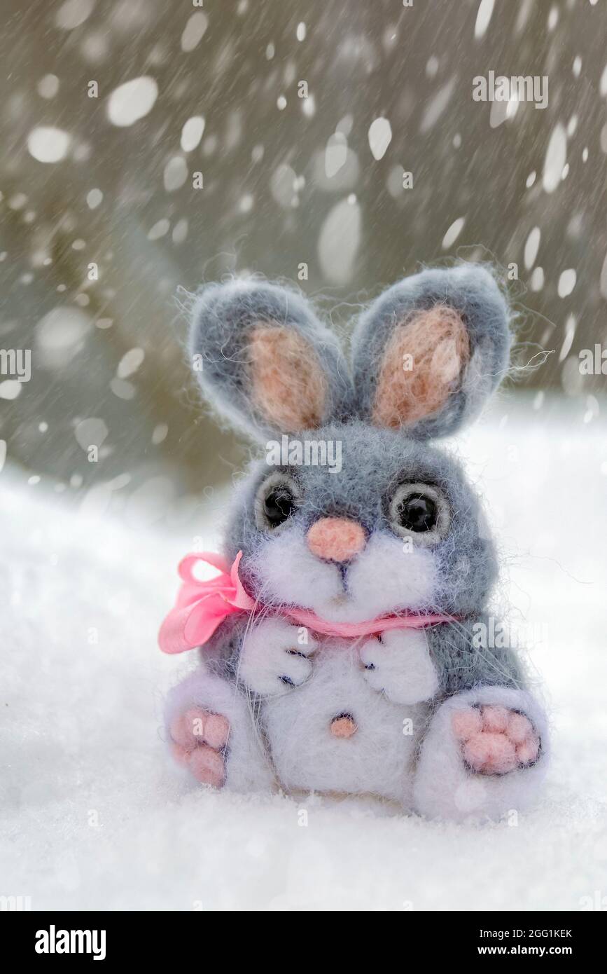 Funny rabbit hi-res stock photography and images - Alamy