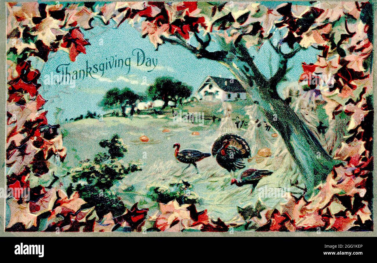 Illustration of turkeys in a field, surrounded by Autumn leaves on a ...