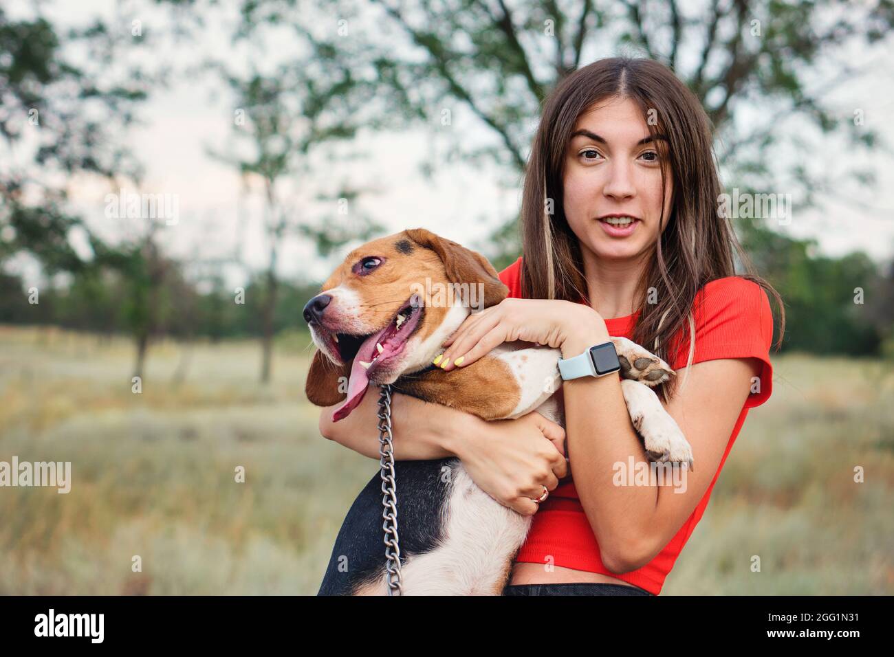 Agitated and confused woman with her domestic dog purebred beagle ...