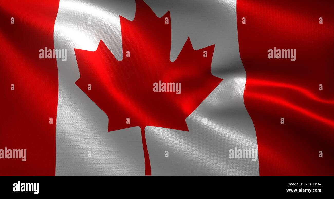 Canada Flag, Canadian flag with waving folds, close up view, 3D ...