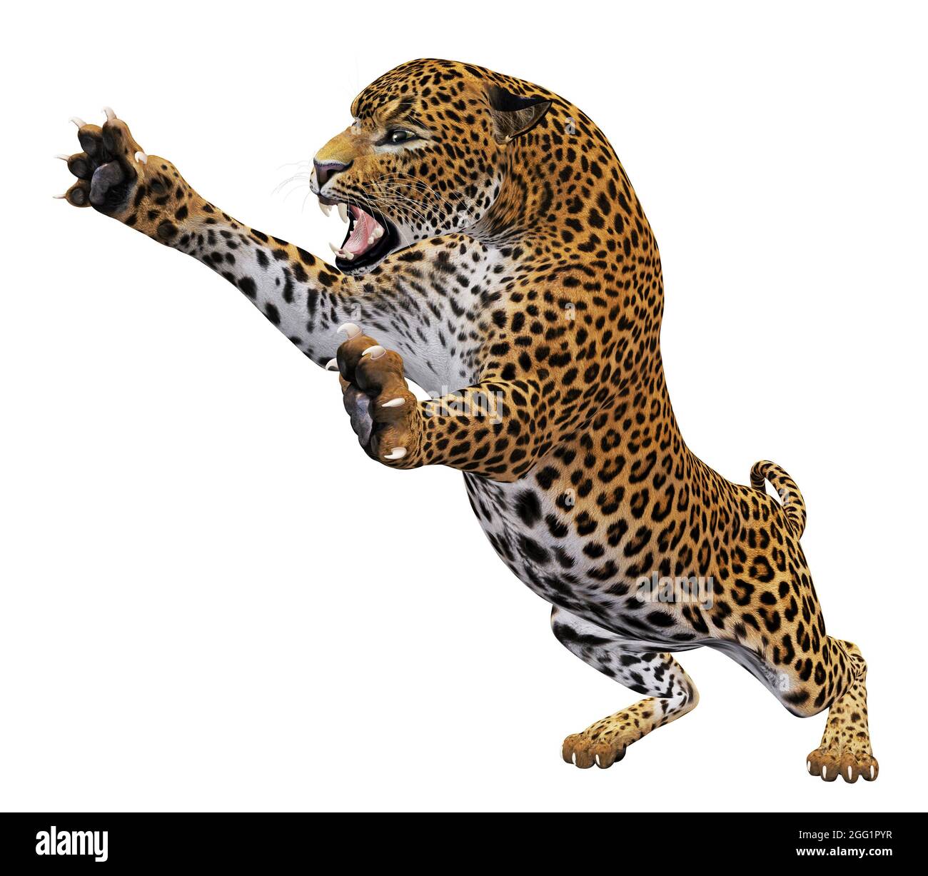 Digitally rendered leopard in attacking pose, 3d illustration Stock ...