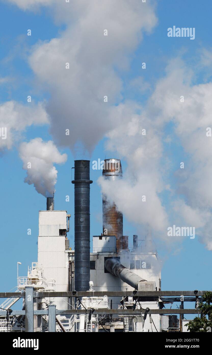Pulp mill in Tacoma, Washington Stock Photo - Alamy
