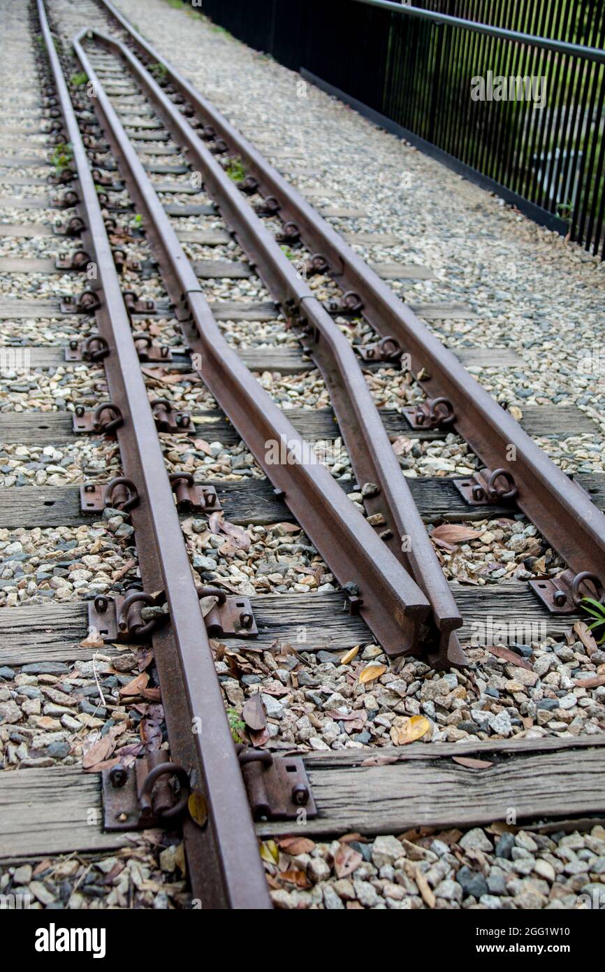 the Rail Corridor of Singapore close to Bukit Timah Forest Reserve. It ...
