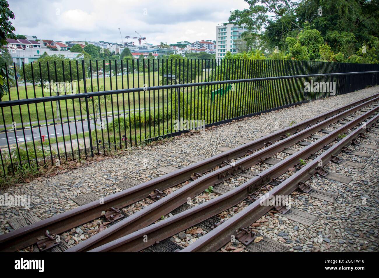 the Rail Corridor of Singapore close to Bukit Timah Forest Reserve. It ...