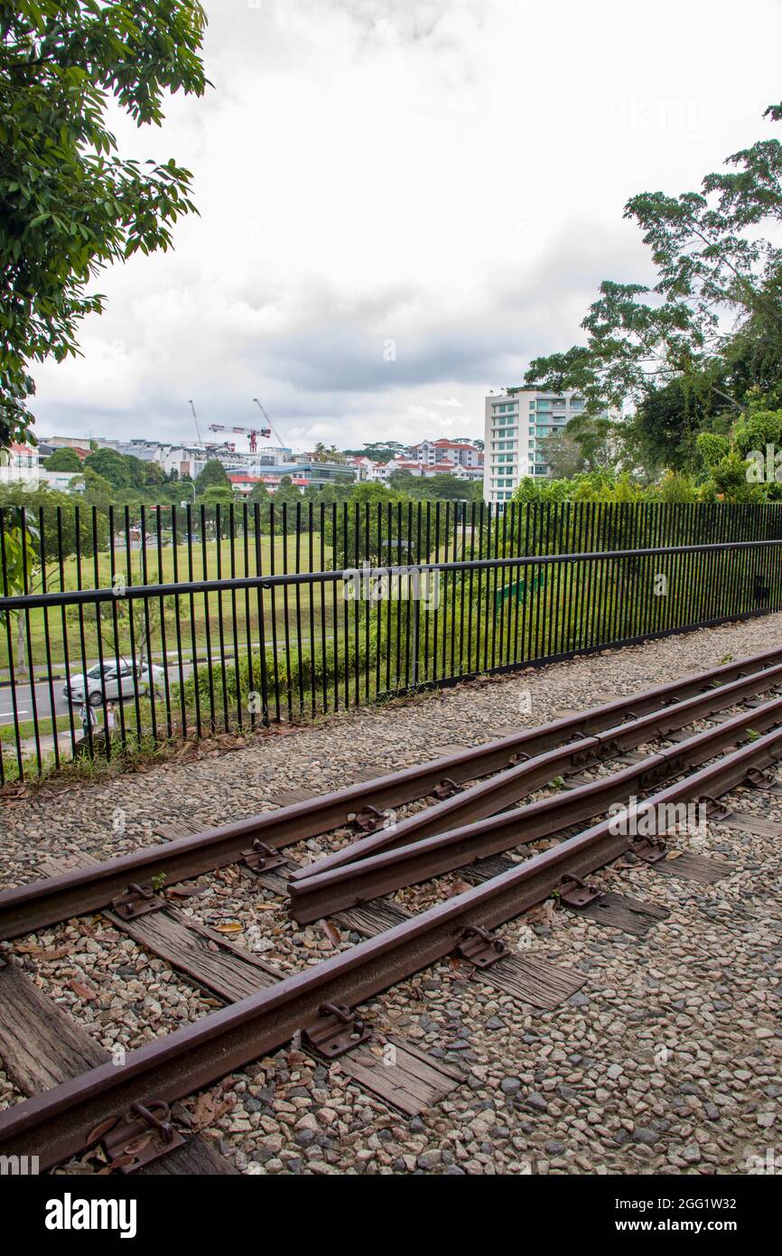 the Rail Corridor of Singapore close to Bukit Timah Forest Reserve. It ...