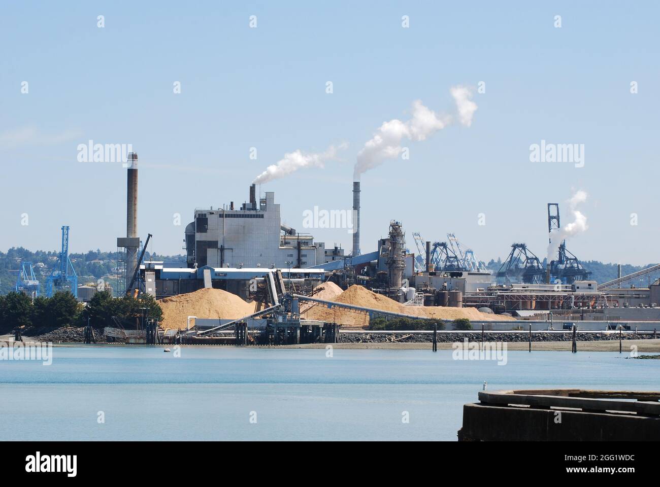 Pulp mill washington hi-res stock photography and images - Alamy