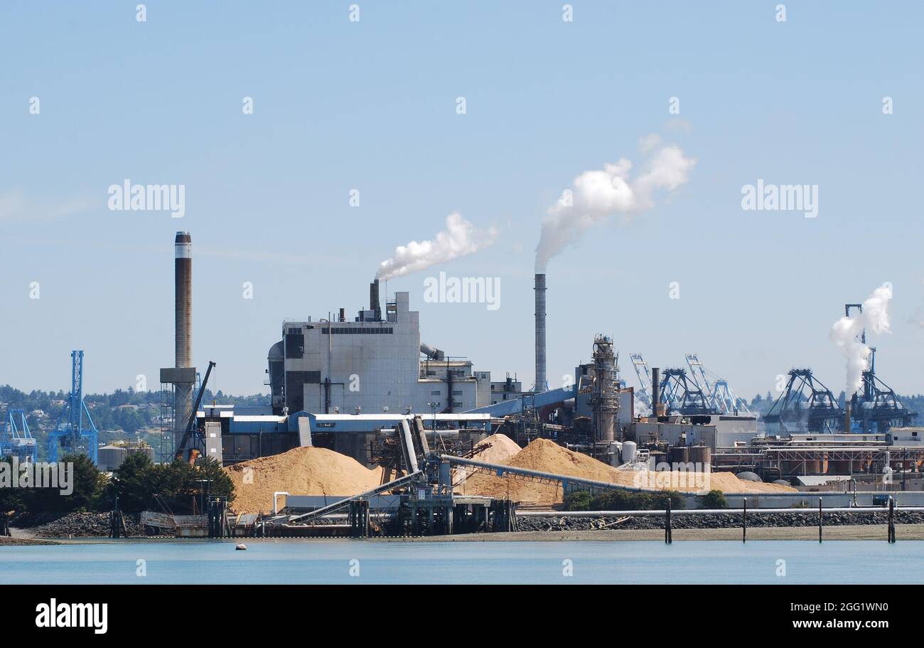 Pulp mill washington hi-res stock photography and images - Alamy