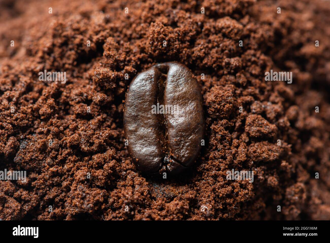 Ground bean hi-res stock photography and images - Alamy