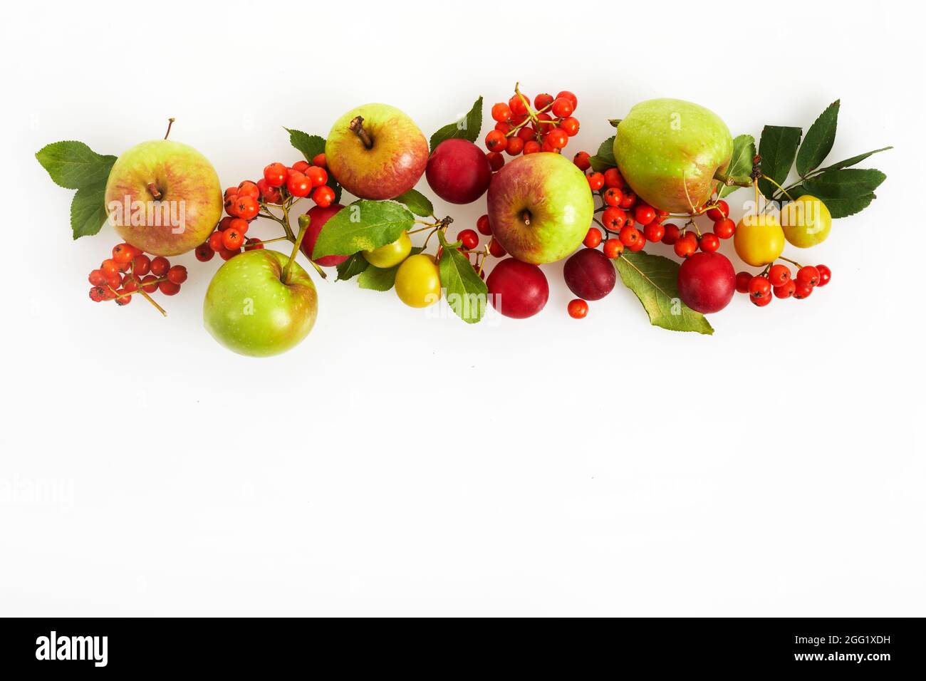 Frame with Autumn yellow, orange and red vegetables and fruits on white ...