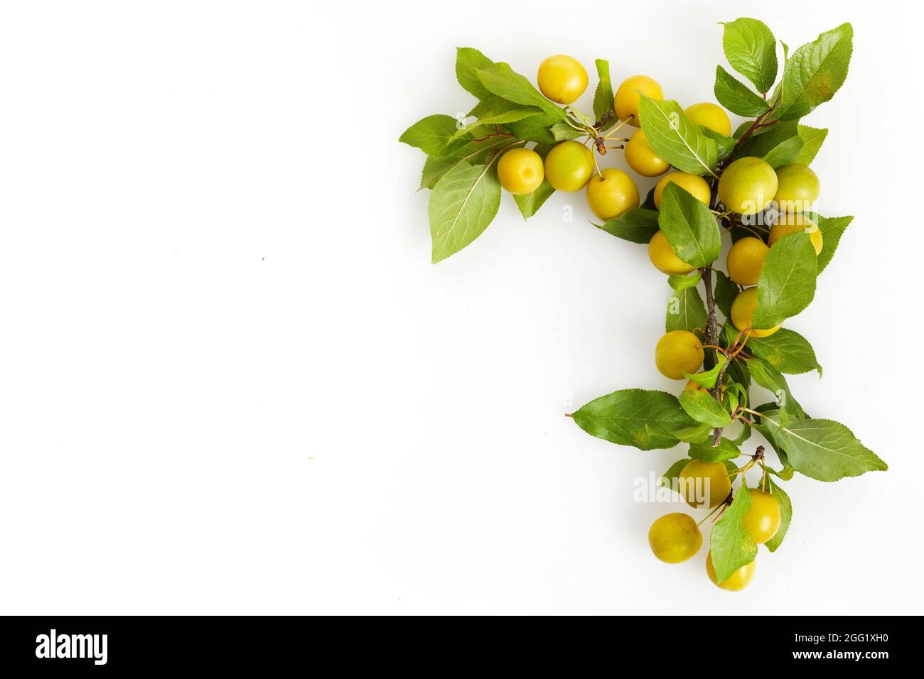 Autumn composition fruit on hi-res stock photography and images - Alamy