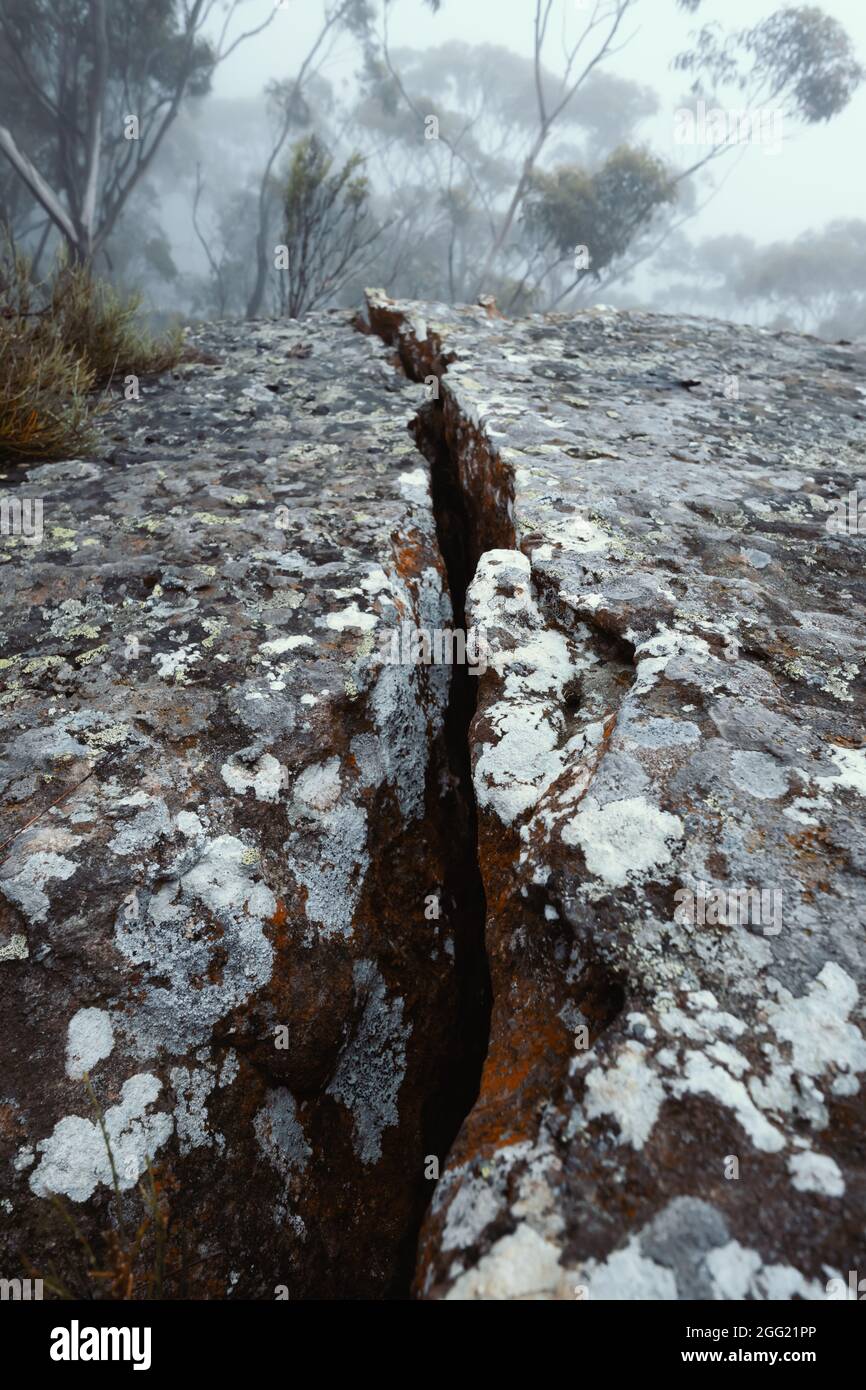 Australian lichen hi-res stock photography and images - Alamy