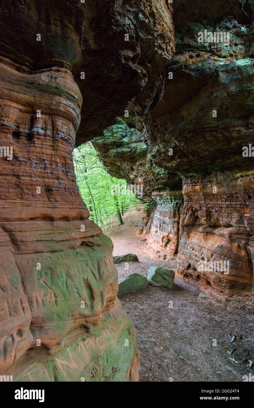 Rockformation of Altschlossfelsen of red sandstone in forest near ...