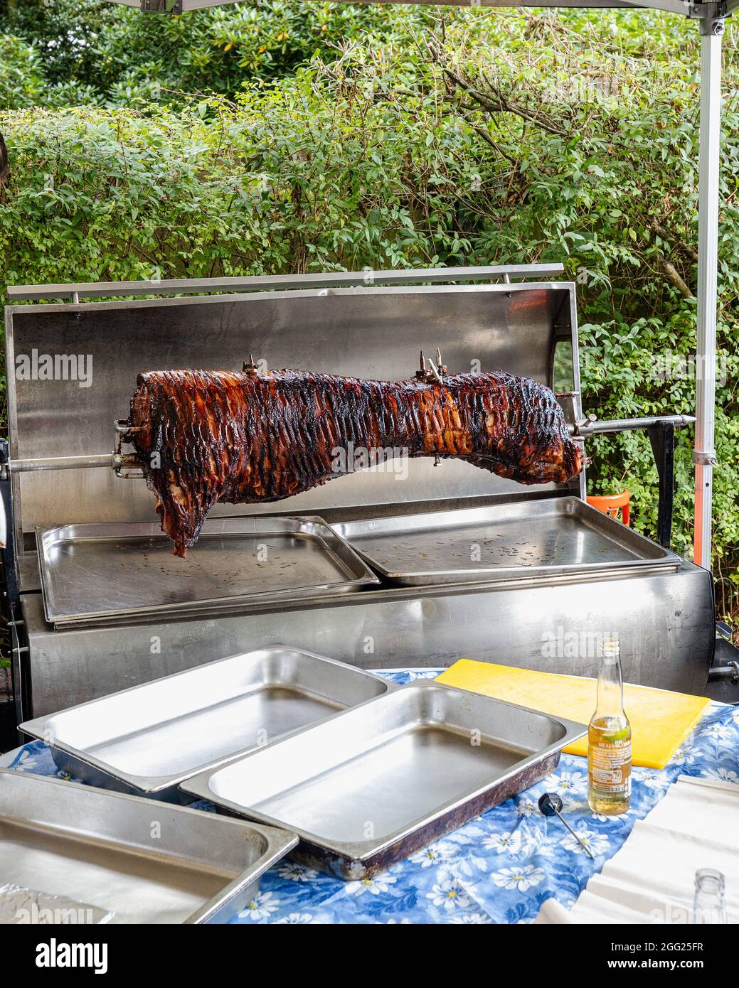 Party pig hi-res stock photography and images - Alamy