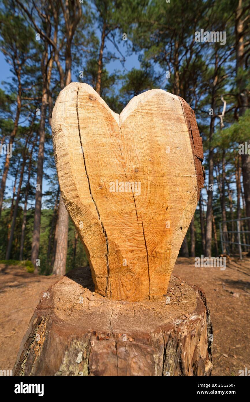 Heart Carved In Tree Stump