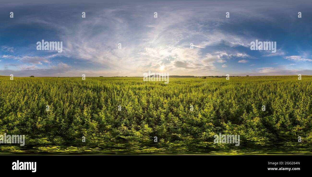 360 hdr panorama among farming fields with awesome sunset clouds full ...
