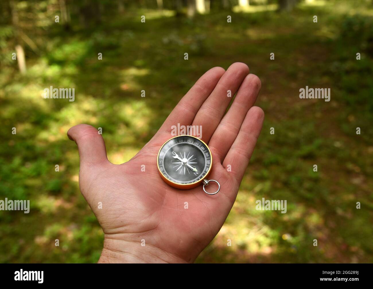 Compass in hand at forest. Tourist compass for orientation on the ...