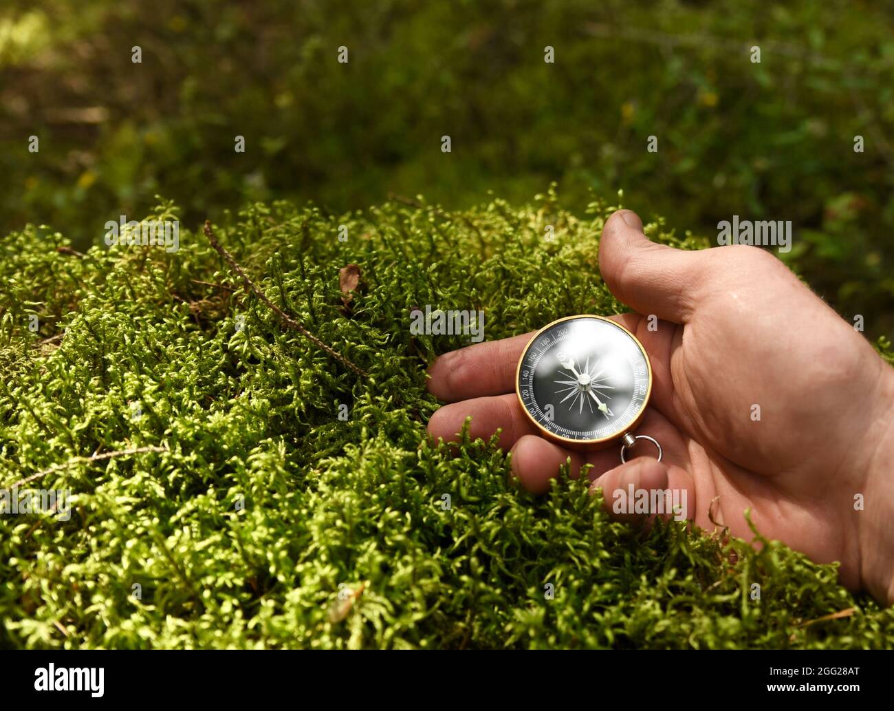 Compass in hand at forest. Tourist compass for orientation on the ...