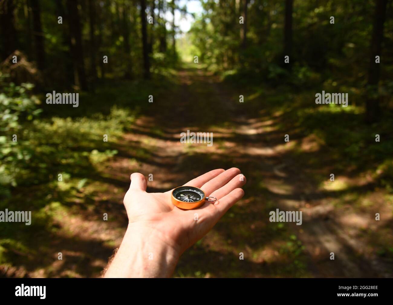 Compass in hand at road in the forest. Tourist compass for orientation ...