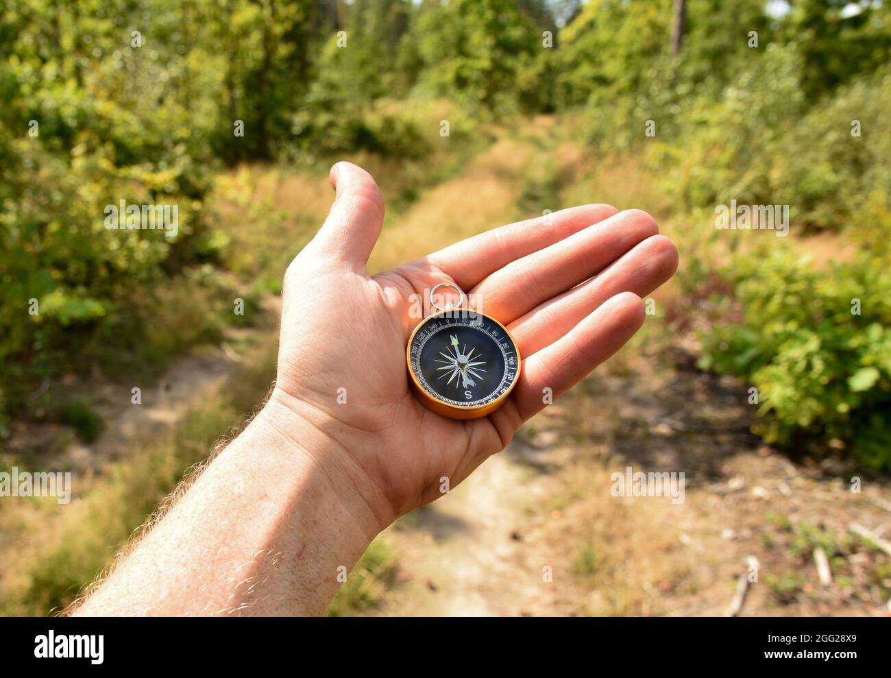 Compass in hand at road in the forest. Tourist compass for orientation ...