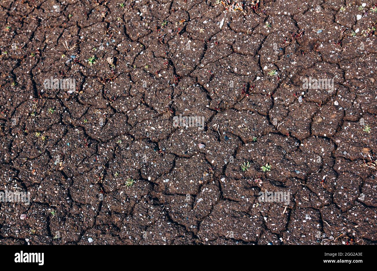 Soil texture hi-res stock photography and images - Alamy