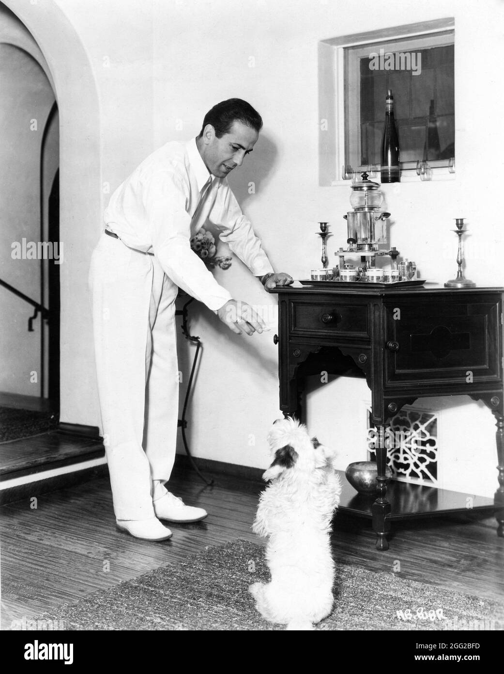 HUMPHREY BOGART 1936 at home with his Dog publicity for Warner Bros ...