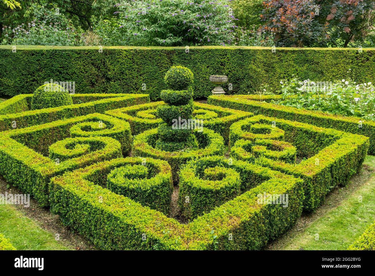 Green topiary hedges hi-res stock photography and images - Alamy