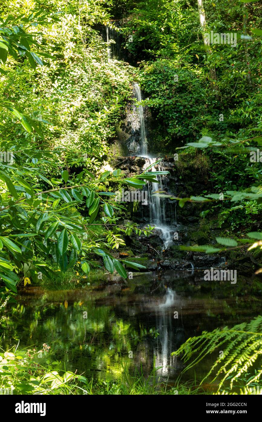 August uk hi-res stock photography and images - Alamy