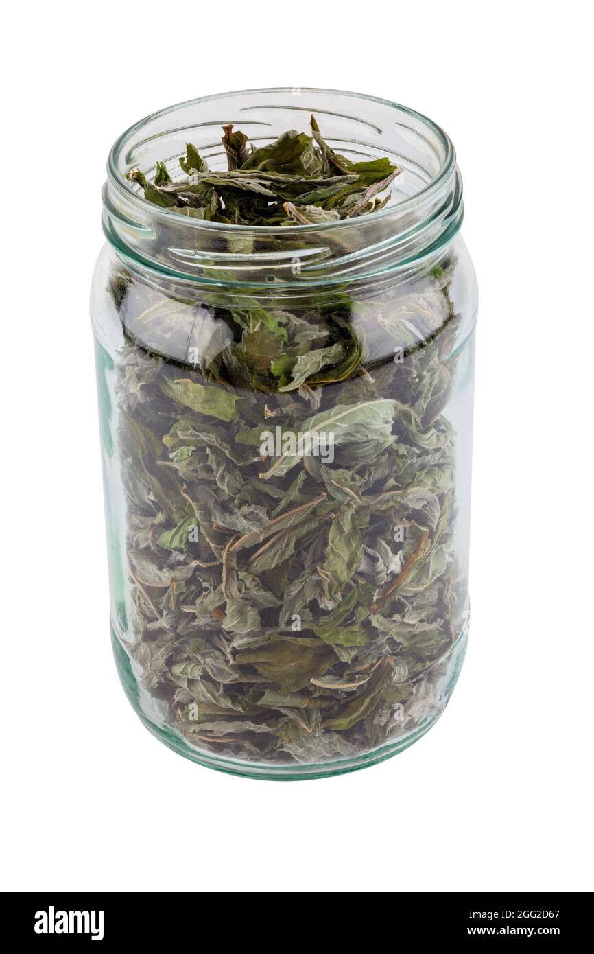 glass jar full of dryed natural mint leaves isolated on white ...