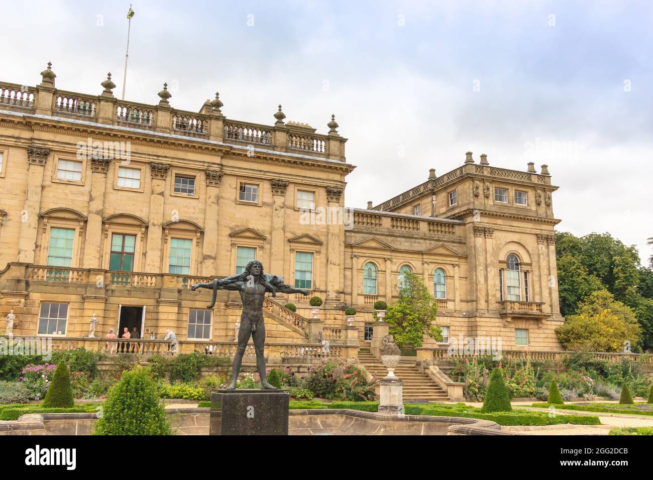 Orpheus flower hi-res stock photography and images - Alamy