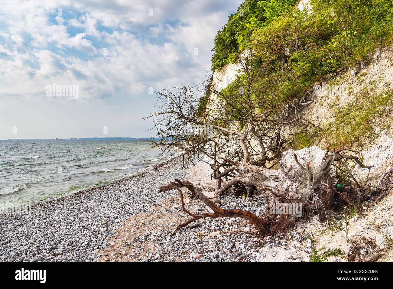 Chalk cliffs on the Baltic Sea coast on the island Ruegen, Germany ...