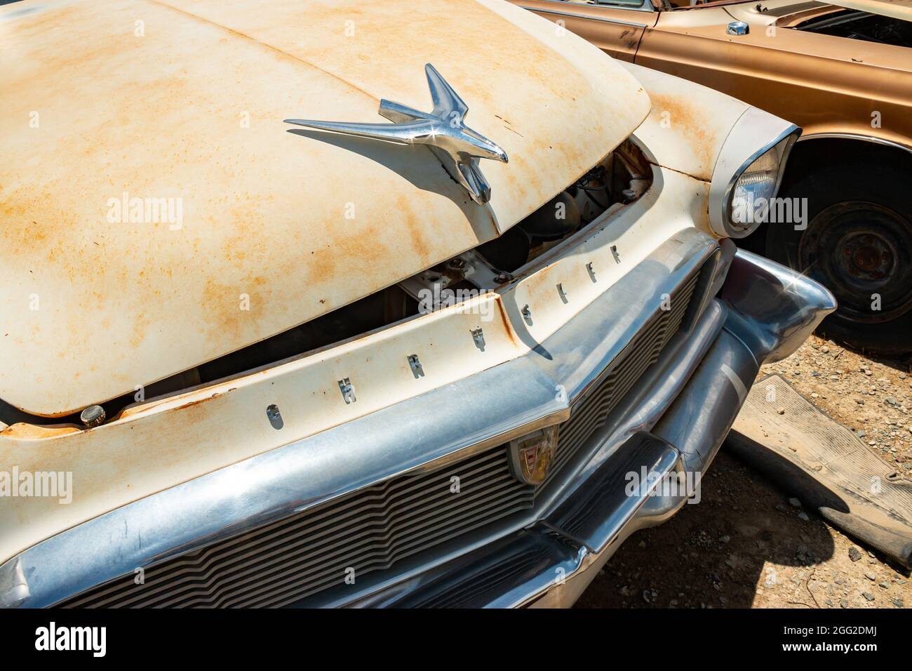 Close-up view of a vintage chrysler car's rusty front grille and emblem ...