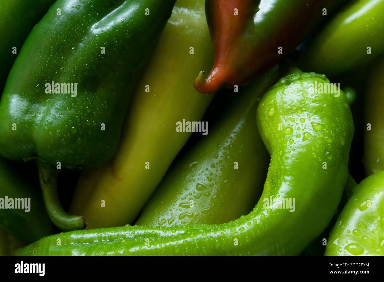 Close up of raw peppers, food backdrop. Vegetable nutrition ingredients ...