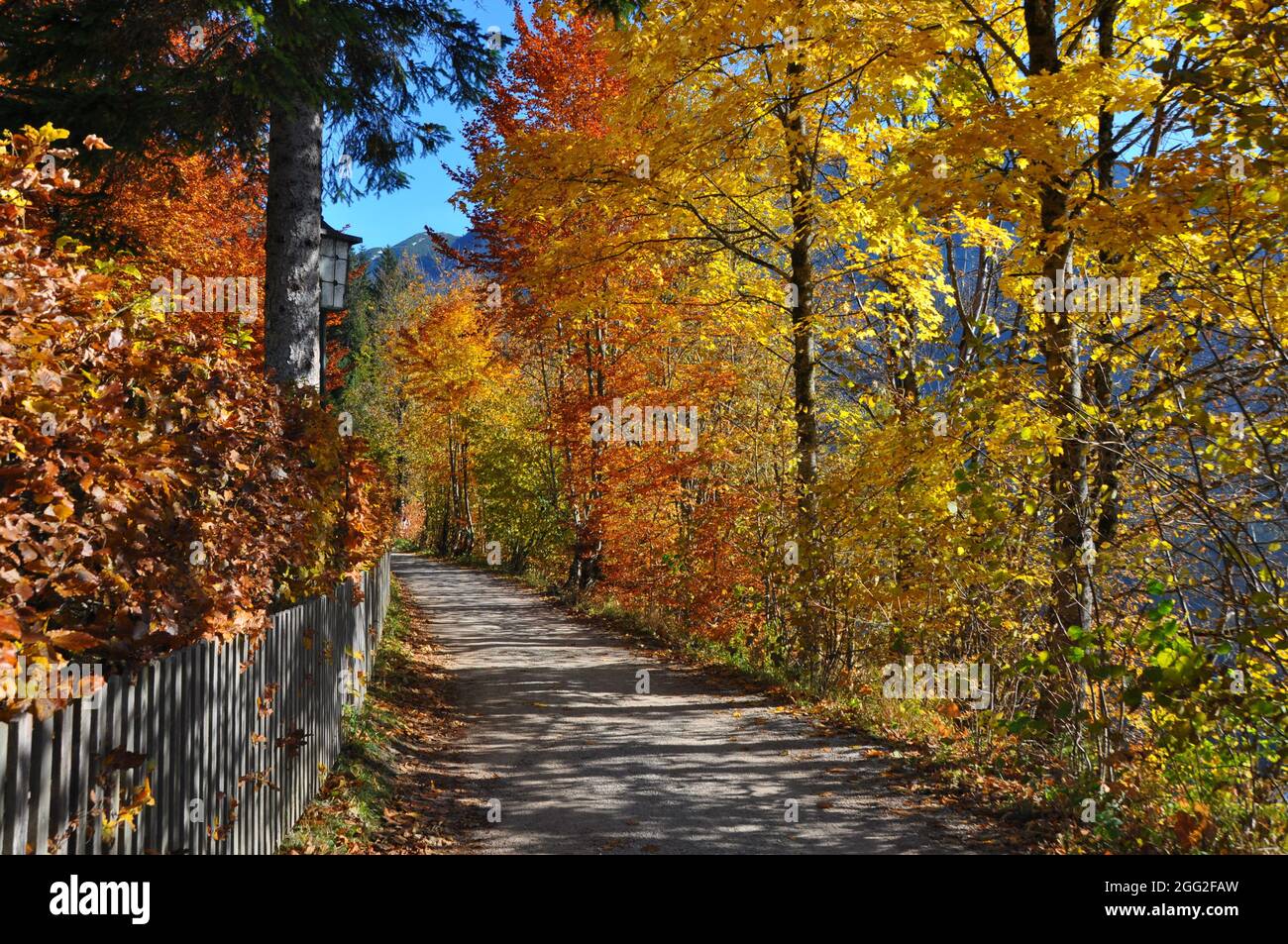 Allew hi-res stock photography and images - Alamy