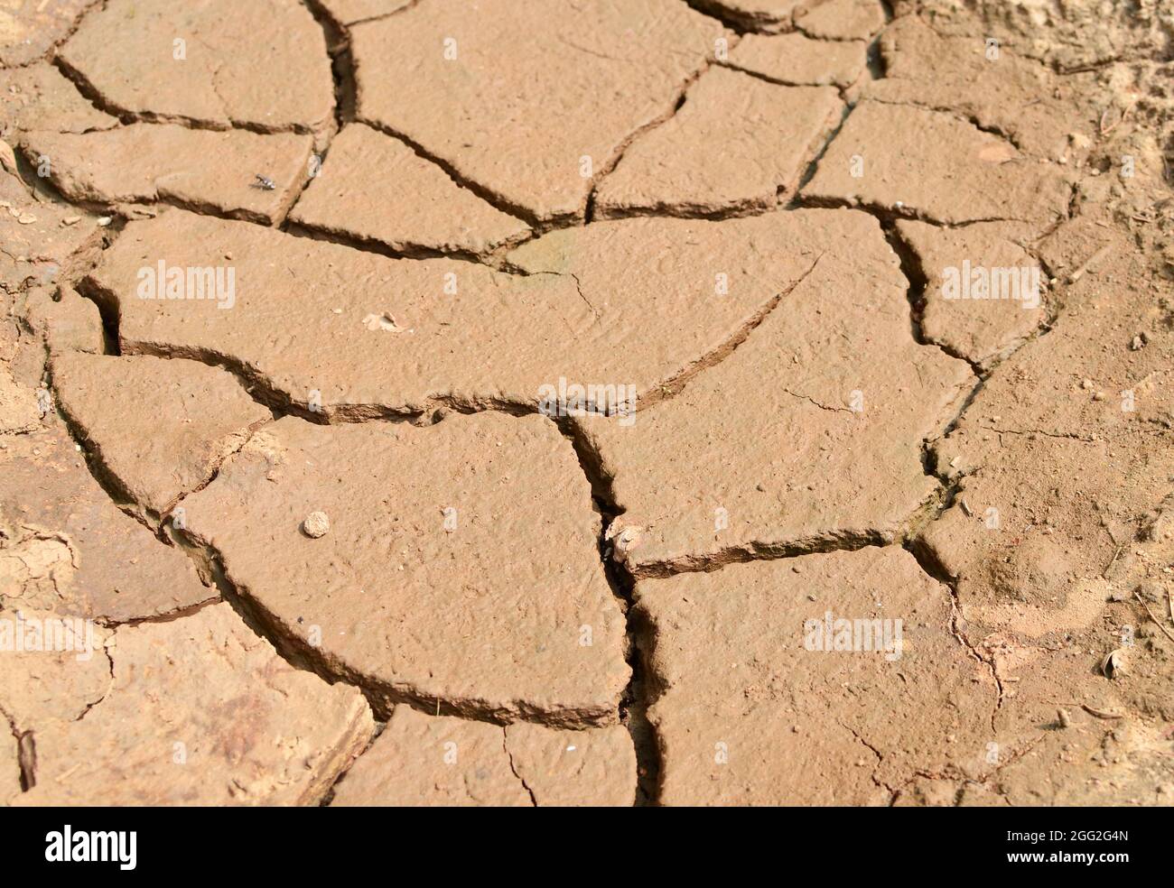 Dry lake in the process of drought and lack of rain or moisture. Global ...