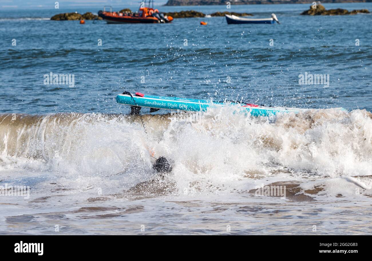 Paddle boarding falling off hi-res stock photography and images - Alamy