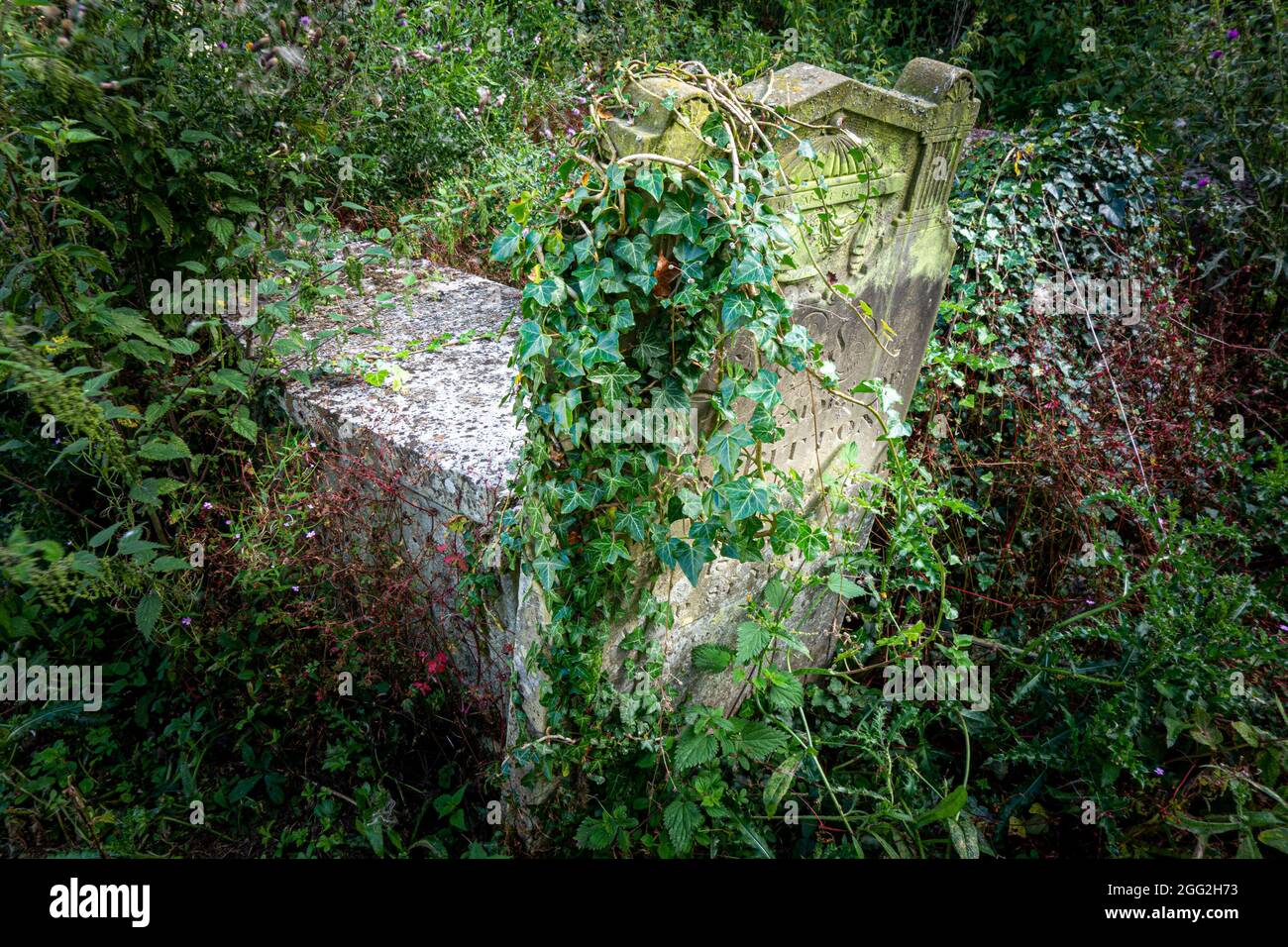Overgrown grave stone, Seething church Stock Photo - Alamy