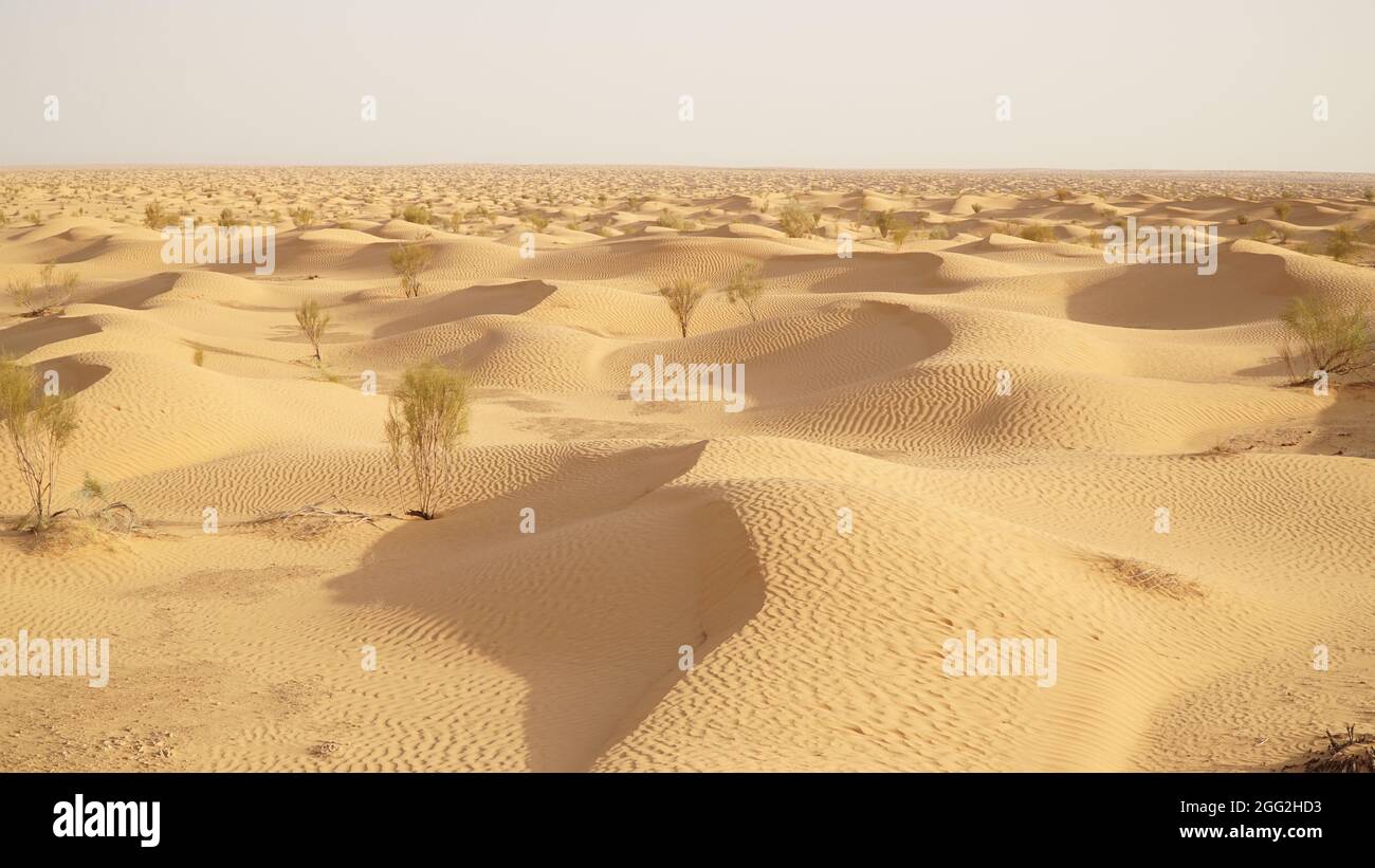Desert landscape with dunes in the Sahara Desert near Douz, Tunisia ...