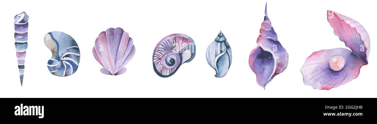 Watercolor Shell Set Collection of Underwater and sea tropical ...