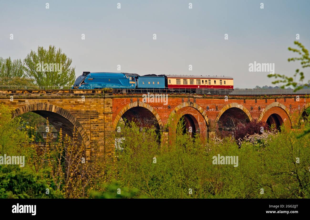 A4 Class bittern, Yarm Viaduct, Yarm on Tees, England Stock Photo - Alamy