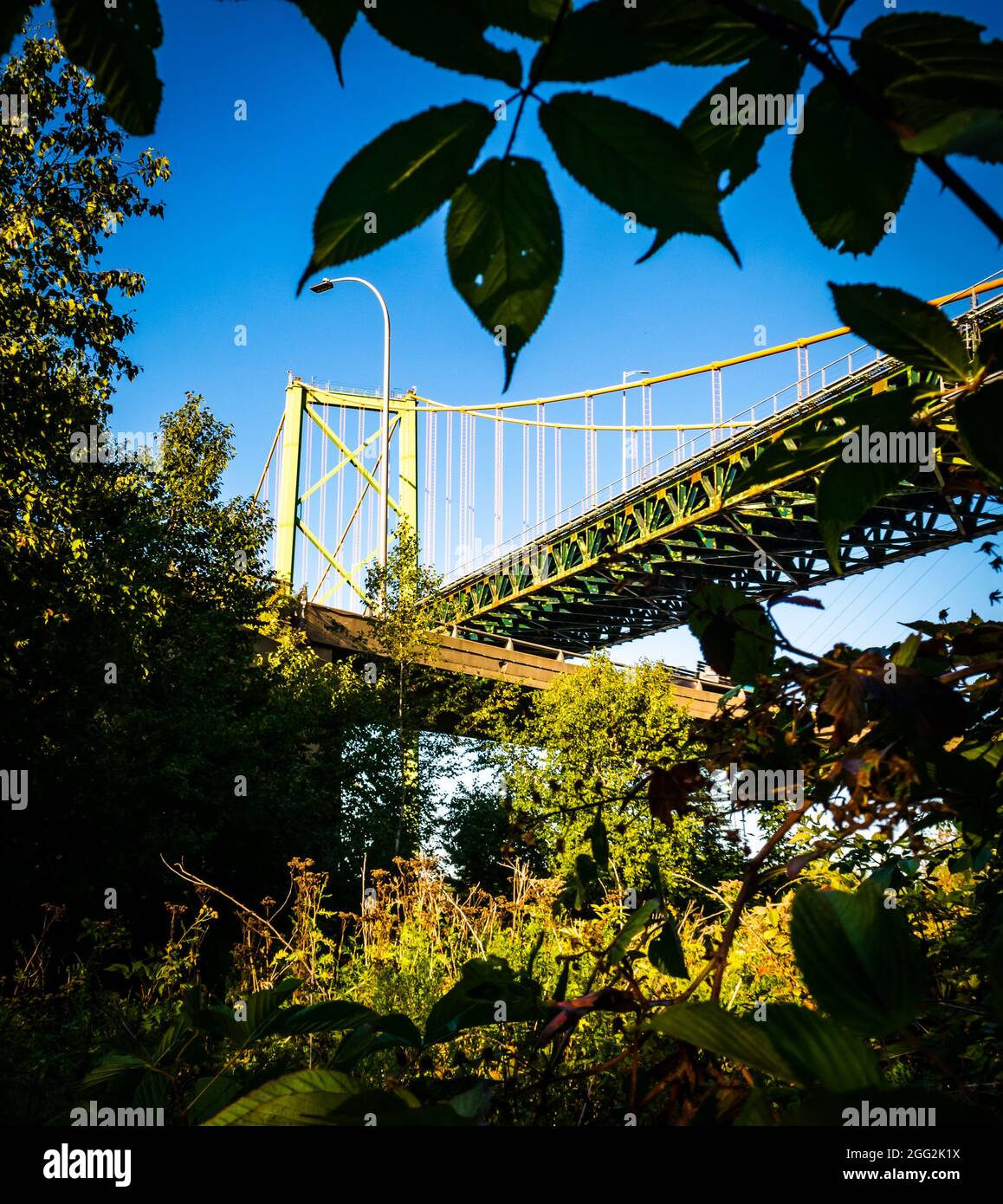 Halifax Bridge Commission