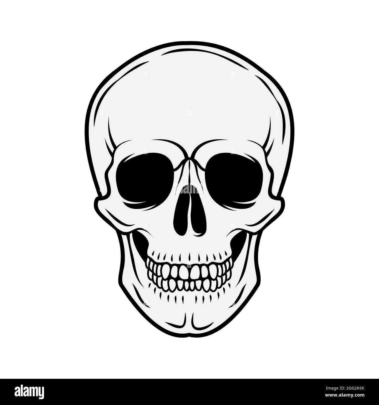 Human skull front view hi-res stock photography and images - Alamy