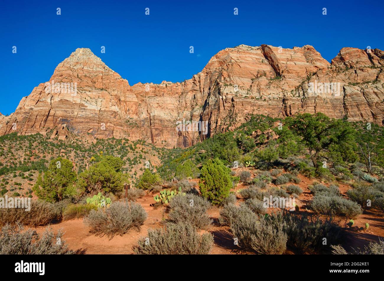 Zion Canyon National Park, Utah, United States of America Stock Photo ...