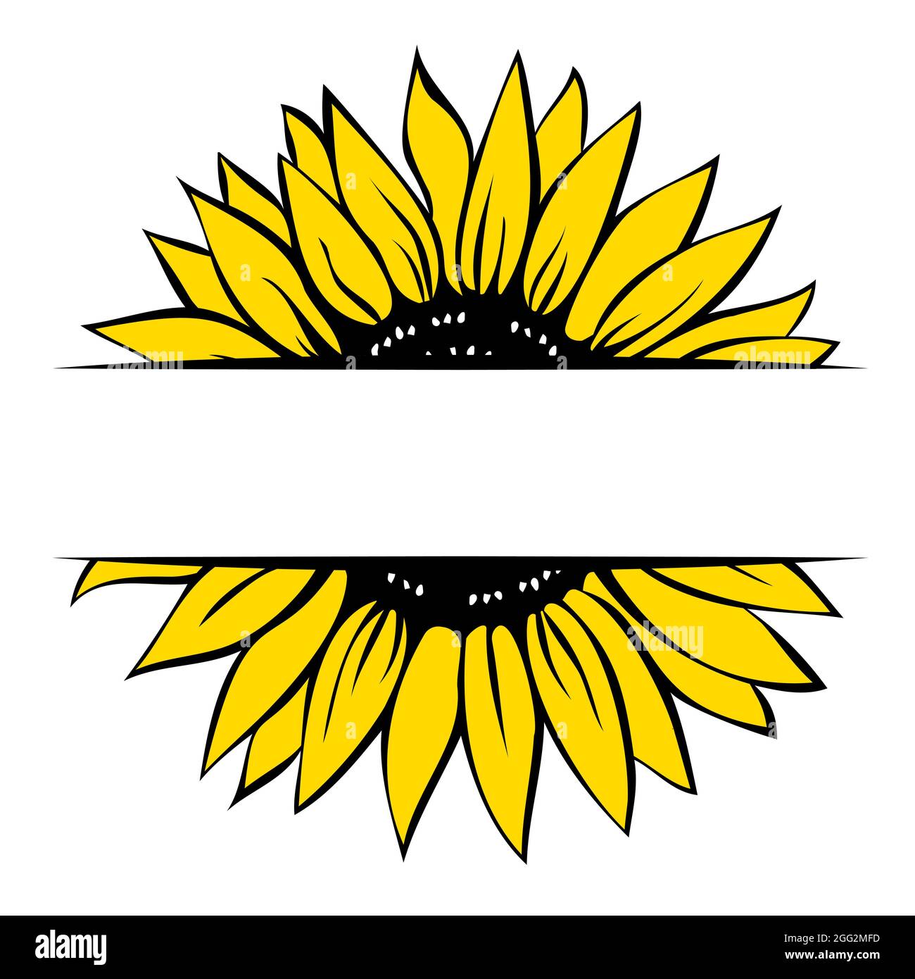Sunflower monogram template, split sunflower, hand drawn vector ...