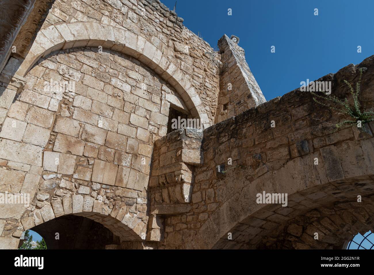 The abbey of Santa Maria di Pulsano is a monastic complex located on ...