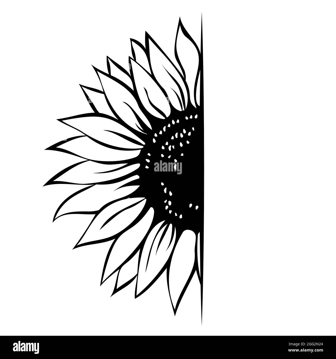 Sunflower half flower Stock Vector Images - Alamy