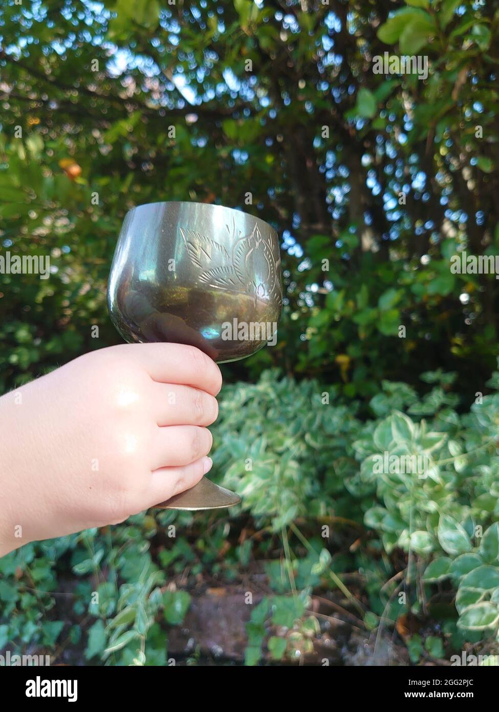 Hand holding a goblet hi-res stock photography and images - Alamy