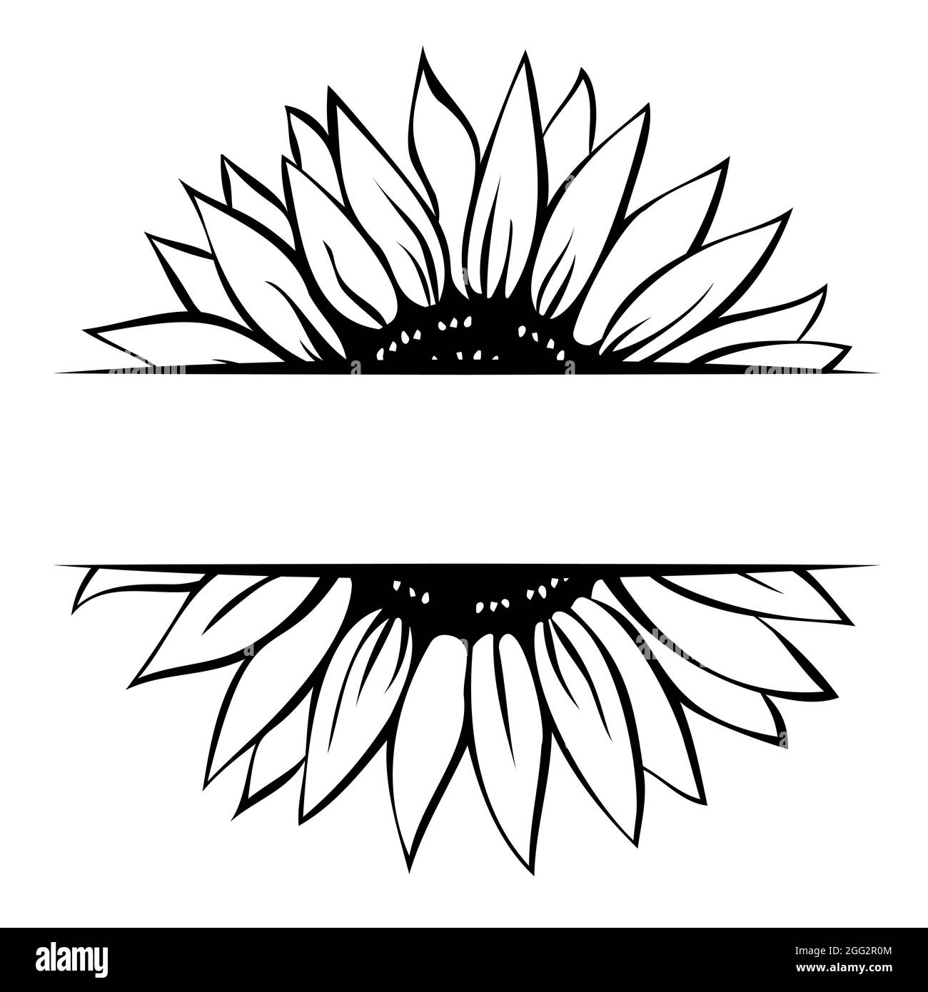 Sunflower monogram template, split sunflower, hand drawn vector ...