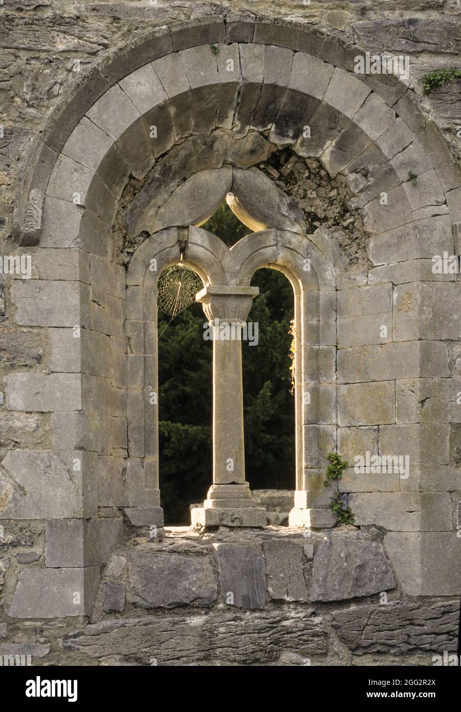 Early gothic architecture hi-res stock photography and images - Alamy